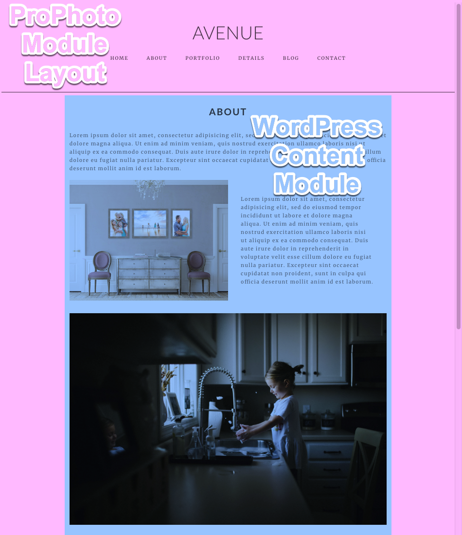 WordPress content module – ProPhoto Support
